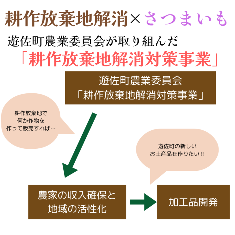耕作放棄地 でさつまいも！？ | 遊佐FUN菜彩マルシェ(山形県遊佐町ネットショップ)
